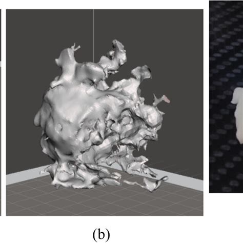 Tridimensional Model Of The A Circumscribed And B Spiculated Download Scientific Diagram