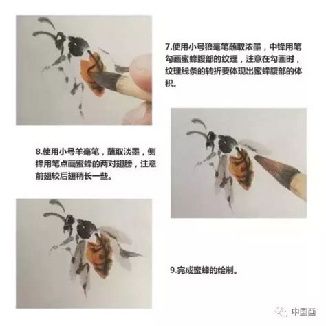 国画教程：蜜蜂画法作品