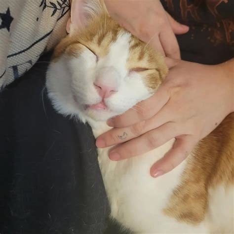 Like Putty In My Hands Roneorangebraincell