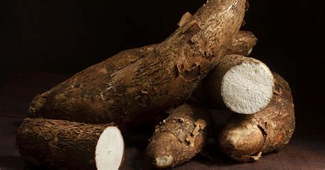 Diversidad Conservación Y Potencial Alimentario De La Yuca En Perú