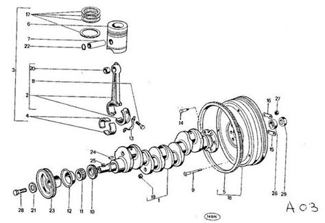 Arbore Cuzinet U650 Baza Agricola Simeriabaza Agricola Simeria
