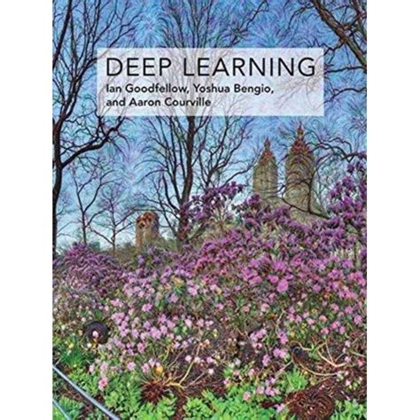 Deep Learning Ian Goodfellow Emag Ro