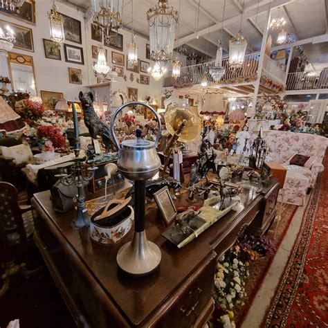 הגלריה של אלמוג