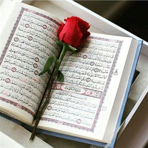 Muhammad Zayan Abbas رومی