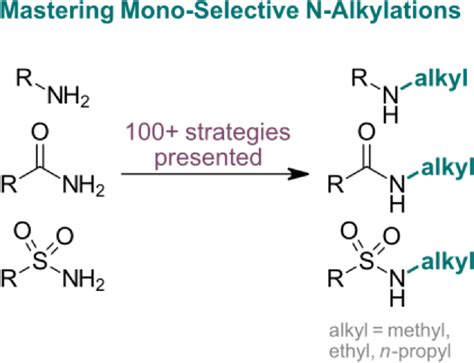 A Guide For Mono‐selective N‐methylation N‐ethylation And N‐n