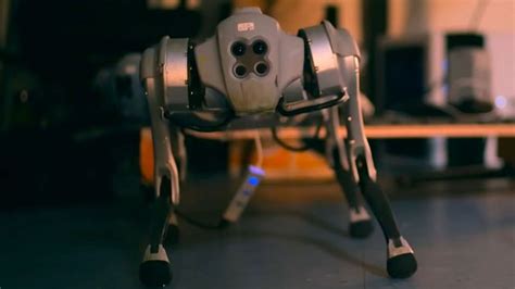 Lo Desconocido Los Robots Asesinos Cortometraje