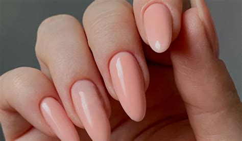 Gel Extensions With Biab Course Trans4m Training Limited