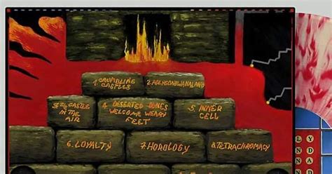 Poly Back Cover Imgur