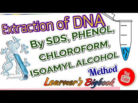 Dna Extraction By Sds Method Phenol Chloroform Mixture 56 Off