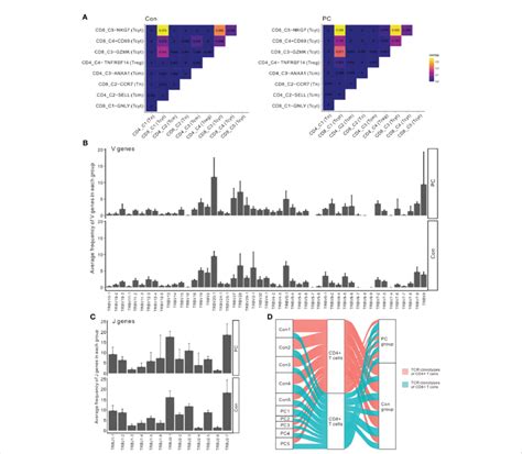 Interactions Between T Cell Clusters And Shared Tcr Clonotypes In Pdac Download Scientific