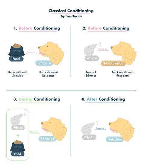 Can You Train Your Dog Using Classical Conditioning