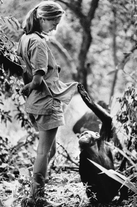 Most Conservationists Are Remembered For What They Saved Jane Goodall