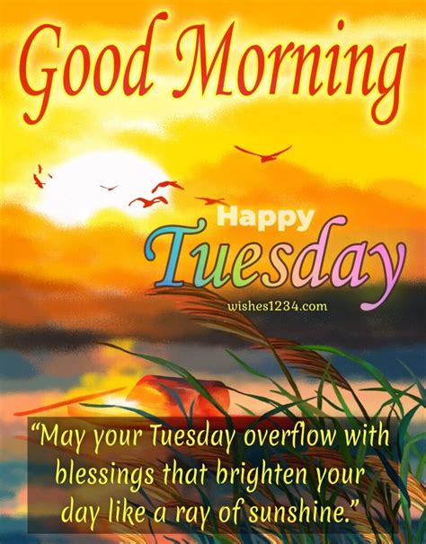 80 Quotes For Tuesdays And Blessings With Beautiful Images Tuesday