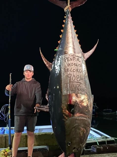 Giant Bluefin Tuna World Record