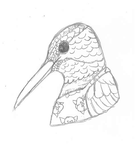 Ruby Thoated Hummingbird By Mercymash On Deviantart