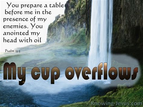 19 Bible Verses About Olive Oil