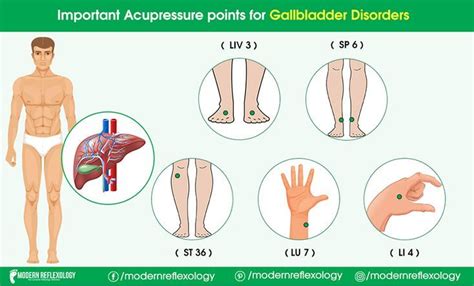 Acupressure Points For Gallbladder Disorder Acupressure Points