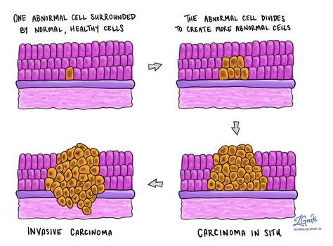 Non Examples Of Cells