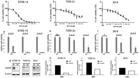 Usp9x Inhibition Causes Massive Reduction In Cellular Viability In