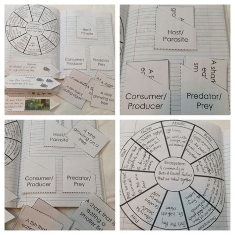 Exploring Ecosystem Interactions With Interactive Notebook Pages