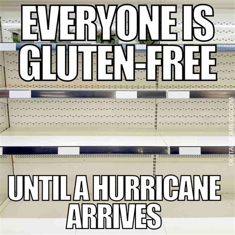 20 Hilarious Hurricane Memes To Weather The Storm