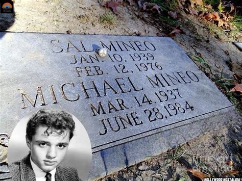 Hollywood Salvatore Sal Mineo Jr January 10 1939 February 12