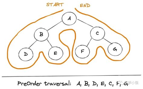 Javascript 中的树型数据结构 腾讯云开发者社区 腾讯云