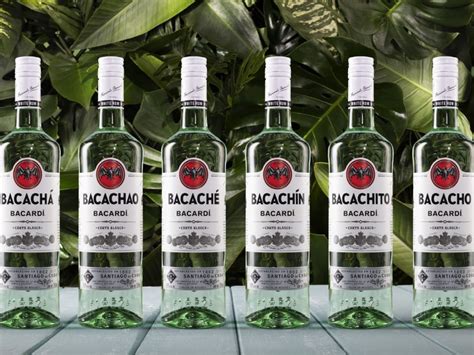 Bacardí Lanza Nuevas Botellas Con Apodos Bacacho Bacachín