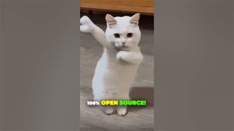 Download The Files For Free 🔥 100 Open Source Opensource