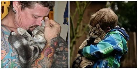 The Pawsome Power Of Cat Cuddling The Purrington Post