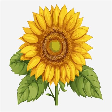 Vector De Fragmentos De Girassol Vetor Premium