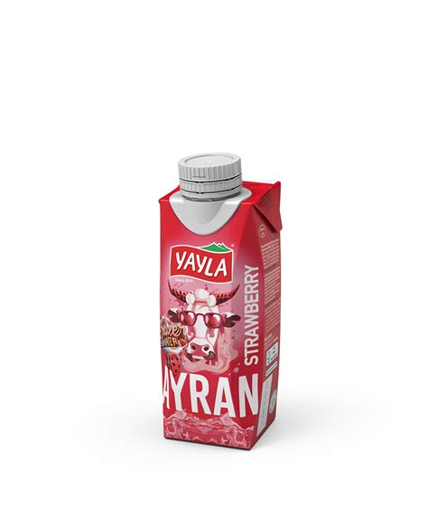 Ayran Selber Machen Das Beste Rezept Yayla De