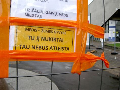 Per Iškirstą Bulvarą Su Gedulo Vėliava Šiaulių Kraštas