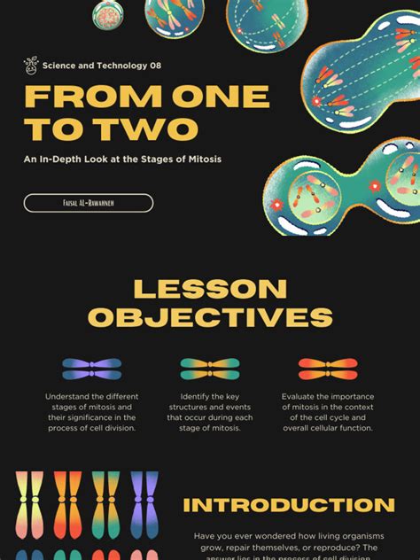 Black And Yellow Illustrative Science Stages Of Mitosis Presentation