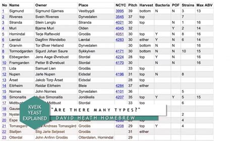 Beer Yeast Strains Chart At Lily Selwyn Blog