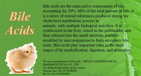 Chicken Efficiency Is Low See The Chicken Feed In The Secret Weapon