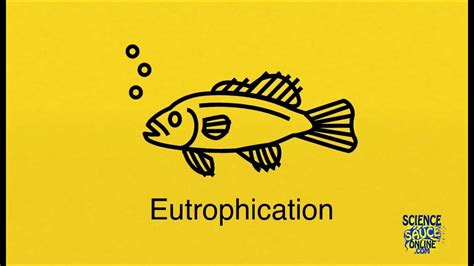 Eutrophication Super Simple Youtube