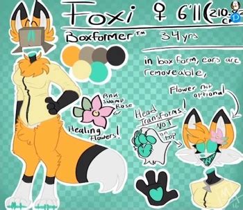 Foxi Boxi Amber Animation Meme Wiki Fandom