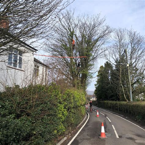 Tree Squadron Tree Squadron Added A New Photo — In