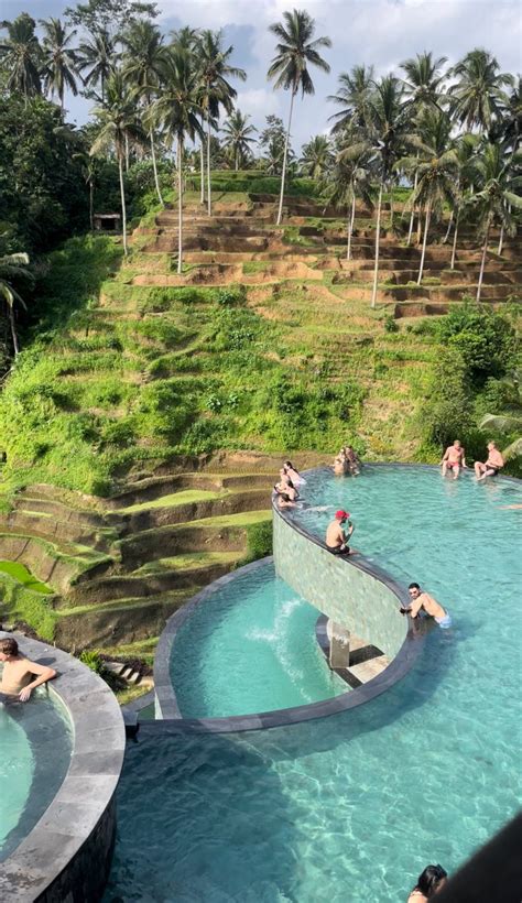 Rice Terrace Bali Jungle Resort Bali Ubud
