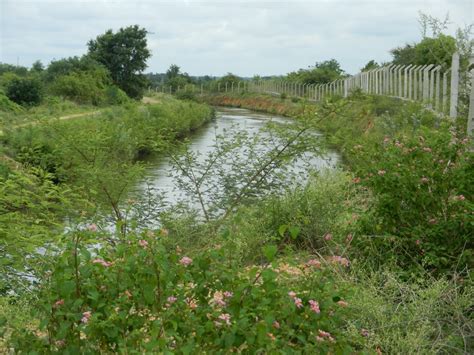 Impact Of 98 Mini Hydel Projects On Cauvery On Bangalores Water Supply