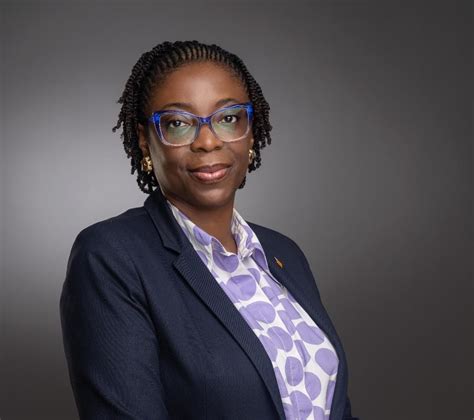 Access Holdings Appoints Bolaji Agbede As Interim Ceo
