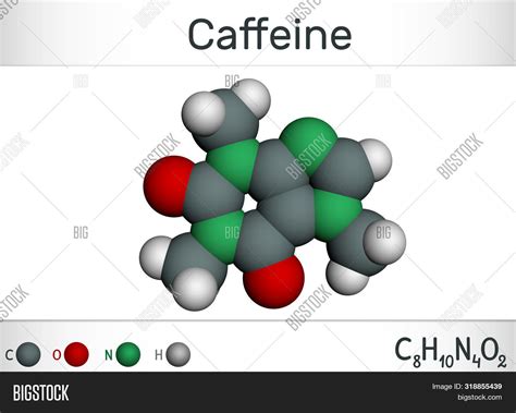 Caffeine Alkaloid Molecule Structural Chemical Formula And Molecule Model Molecule Model
