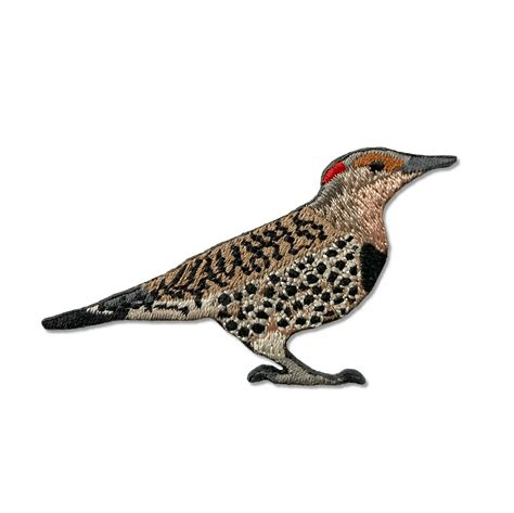 Bird Patch Club Monthly Subscription Bird Collective
