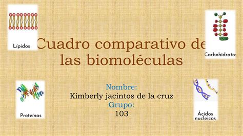 Cuadro Comparativo De Las Biomoléculaspptx