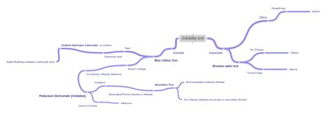 Solubility Test Coggle Diagram