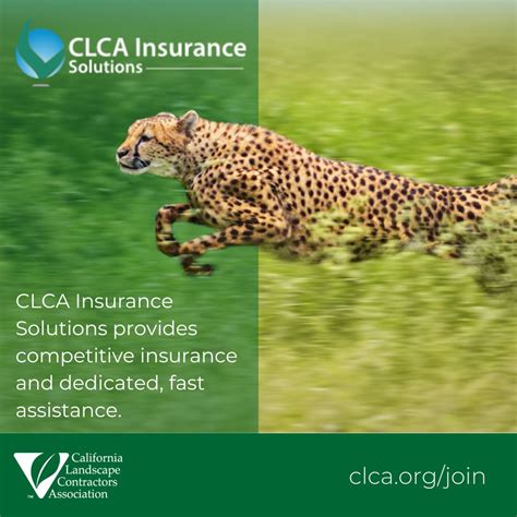 California Landscape Contractors Association On Linkedin Clca