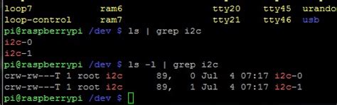Effortless Startup Automating Raspberry Pi Boot Process