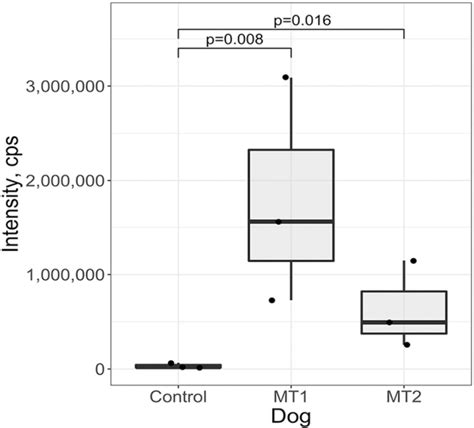 Urine Xanthine Intensity From A Healthy Female Dog Clear Of Putative