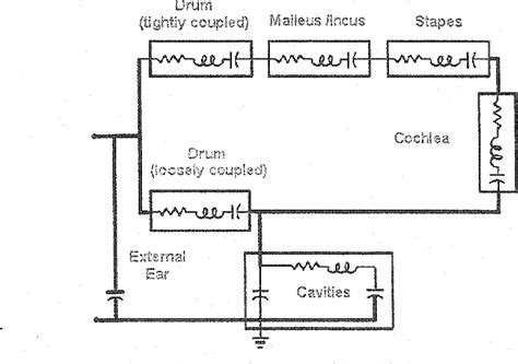 Figure 1 1 From Finite Element Model Of The Human Eardrum And Middle Ear Semantic Scholar